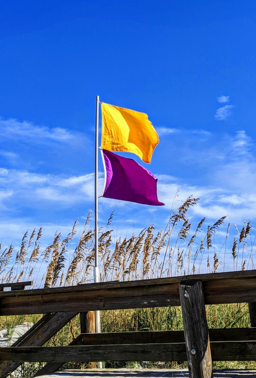 Blue Ridge Cabins and Airbnb