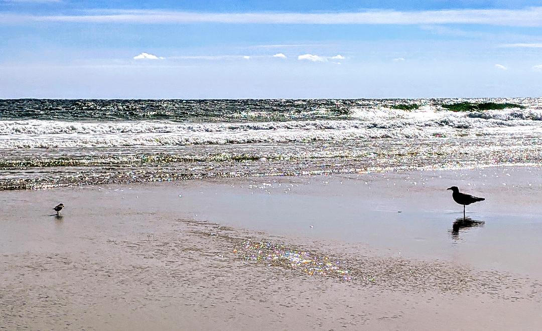 Florida Beaches